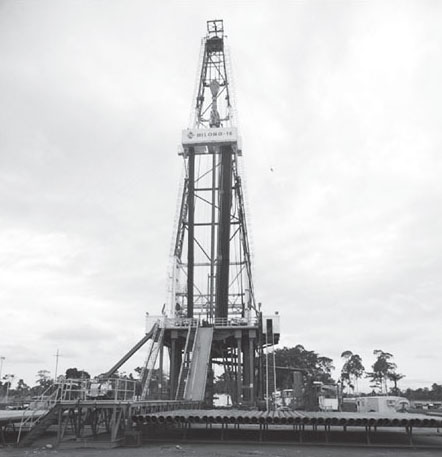 Hilong tips stronger growth with expansion abroad|Companies|chinadaily ...