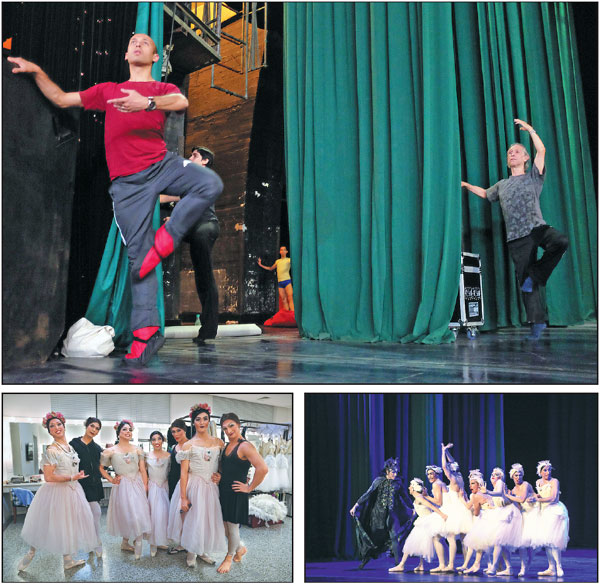 Grace, comedy and black humor - USA - Chinadaily.com.cn