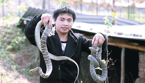 Taking a bite out of the market for snakes|Business|chinadaily.com.cn